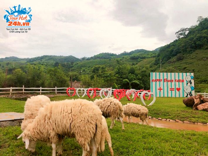 Vườn hoa Happy Land Mộc Châu - Thiên đường “sống ảo” gây bão 2021 ...