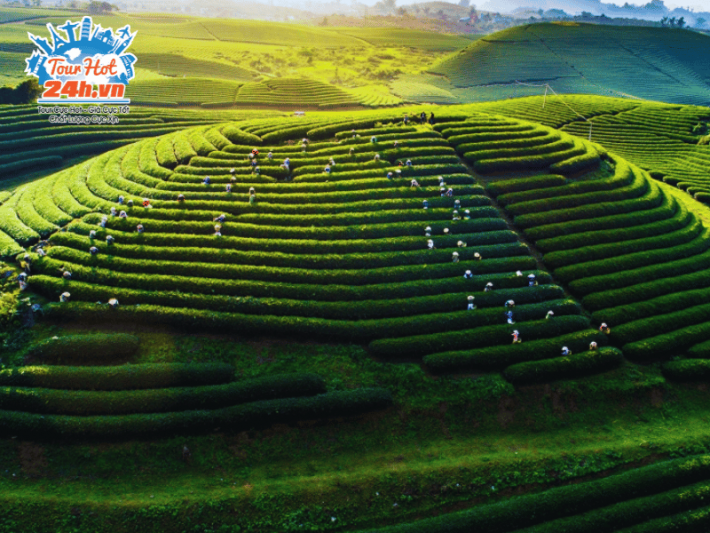 Cao nguyên Mộc Châu – thiên đường thơ mộng với bốn mùa hoa nở ...