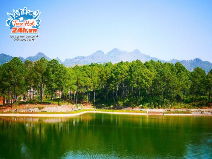 Hùng vĩ rừng thông Bản Áng – Mảng xanh bất tận giữa thiên nhiên hoang ...