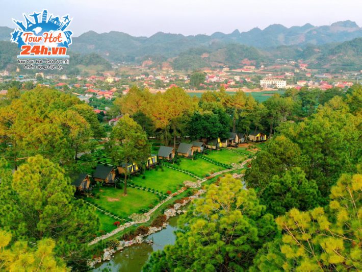 Hùng vĩ rừng thông Bản Áng – Mảng xanh bất tận giữa thiên nhiên hoang ...