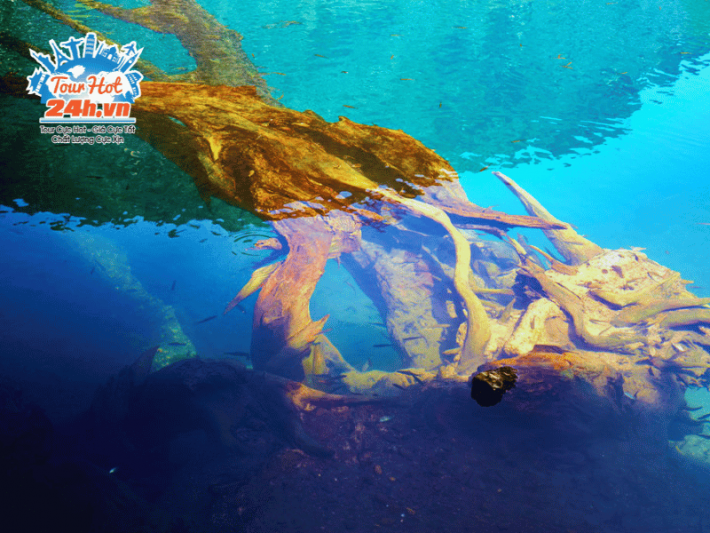 10 điểm du lịch Lào được yêu thích nhất 2024 | Tourhot24h.vn