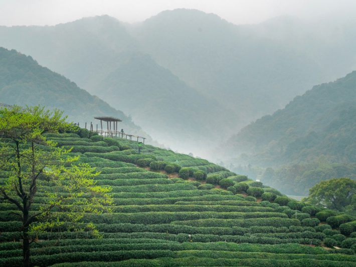 Hàng Châu trong phim ảnh và tiểu thuyết Trung Hoa | Tourhot24h.vn
